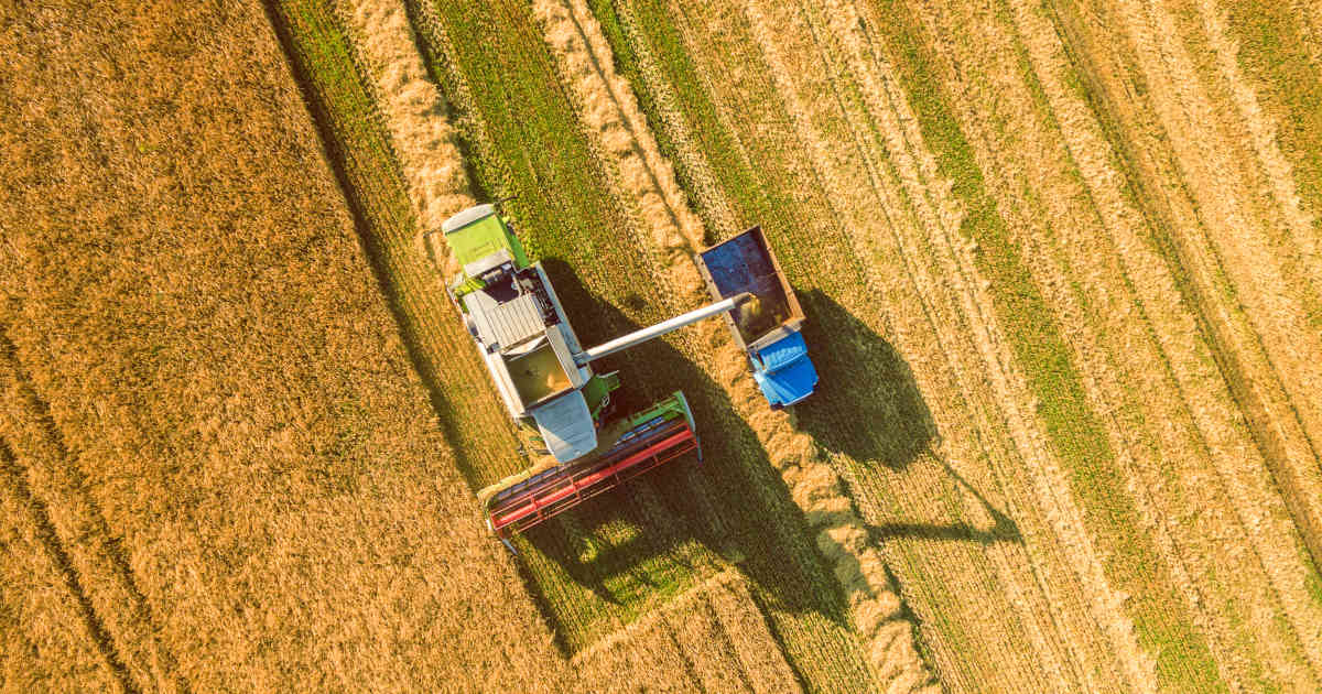 How California Businesses Leverage Versatile Propane | Red Triangle